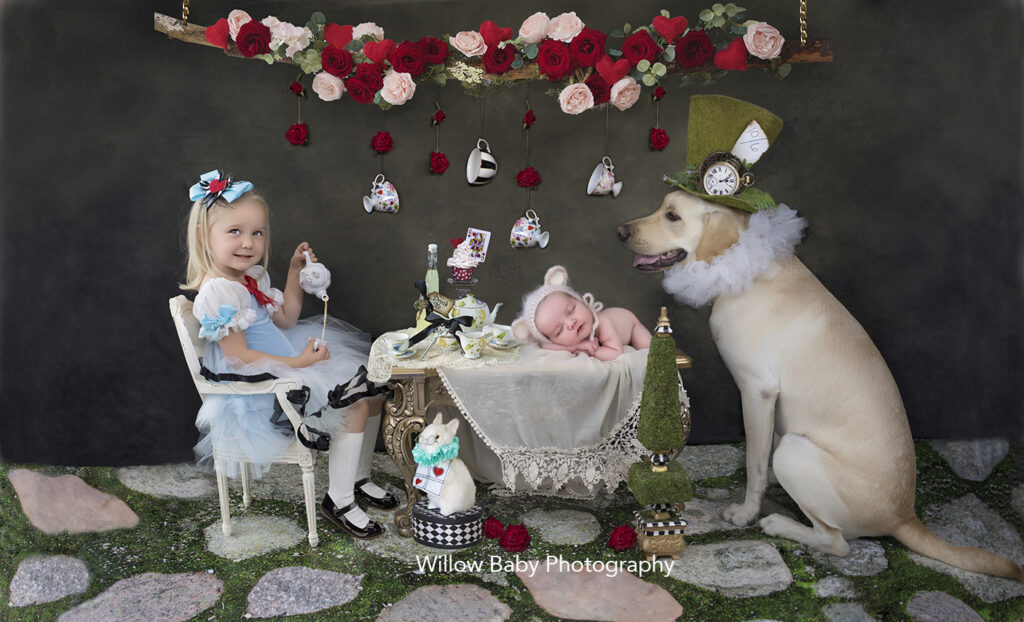 Newborns » Willow Baby Photography